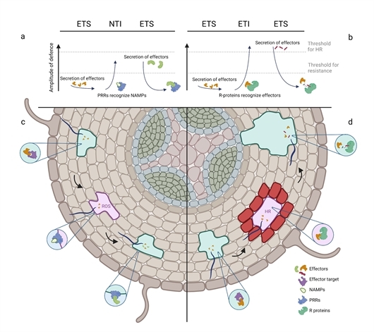 AS (Arno) Schaveling MSc - WUR